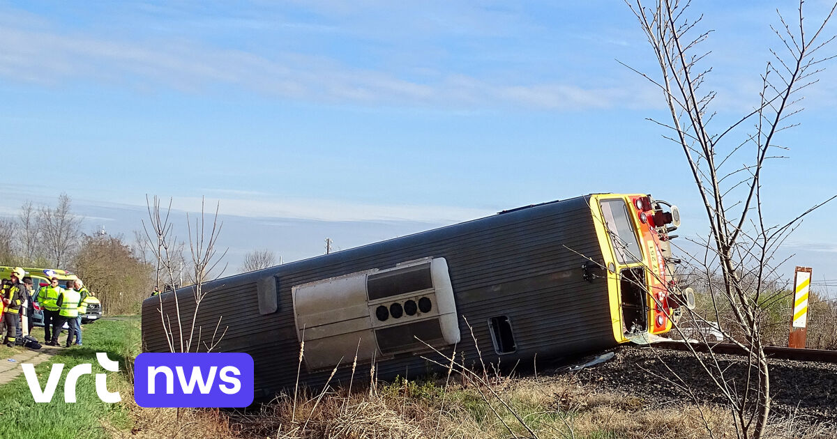5 doden bij botsing tussen trein en bestelwagen in zuiden van Hongarije ...