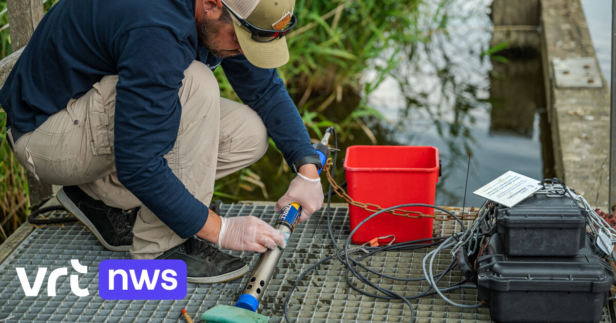 Speciale meettoestellen sporen vervuiling in rivier De Mark in noorden ...