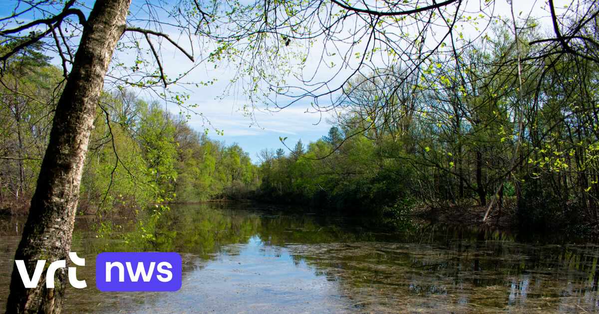 Nieuw natuurgebied gaat open in Poppel: "Grootste aankoop van ...