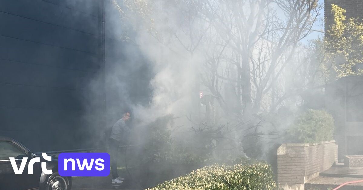 Kleine brand aan hogeschool PXL in Hasselt na onkruidbestrijding ...