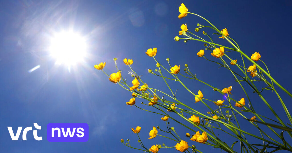 20,2 graden in Ukkel: dagrecord voor 21 maart sneuvelt | VRT NWS Nieuws