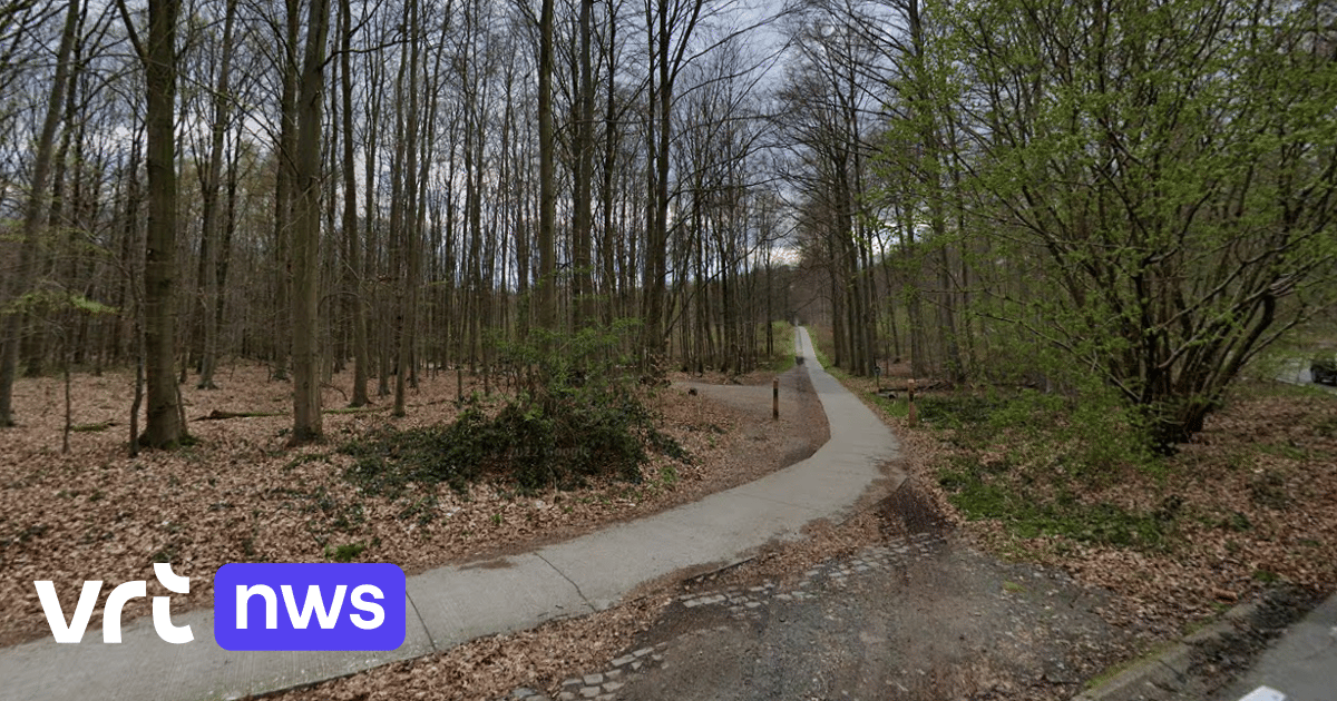 Fietspad door Zoniënwoud krijgt upgrade om woon-werkverkeer te promoten ...