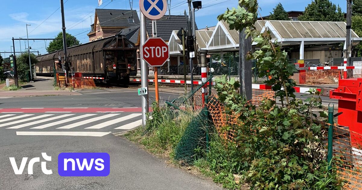 Extra seinlicht bij spooroverweg aan station in Nijlen moet veiligheid ...