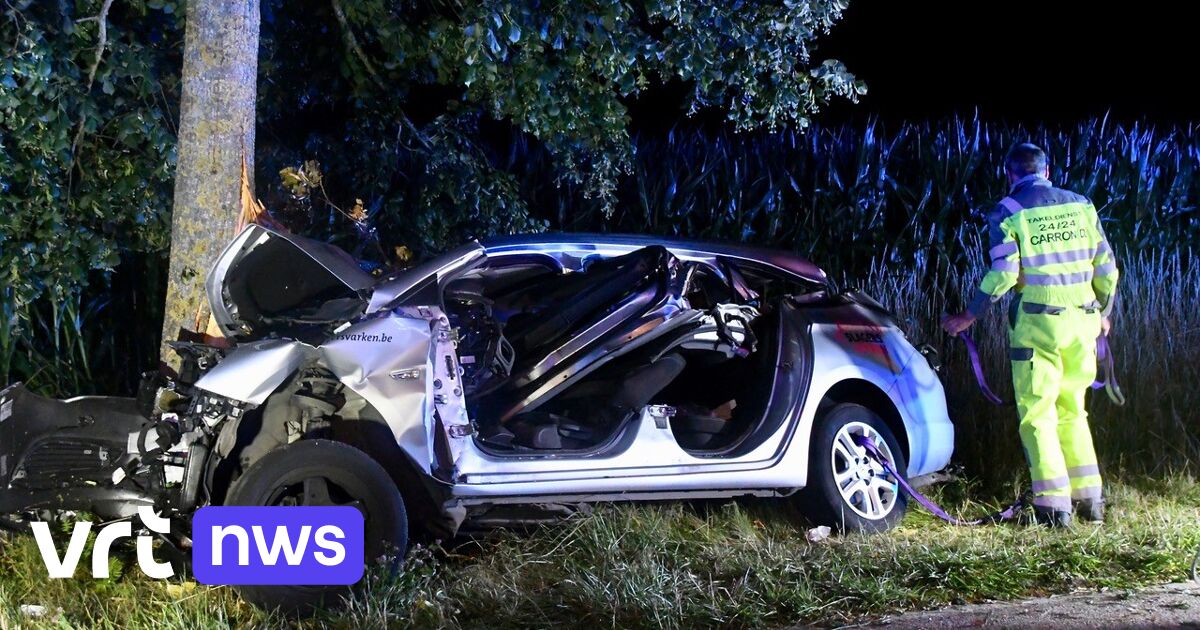 Man van 25 valt in slaap achter stuur en crasht tegen boom in Tielt | VRT NWS: nieuws