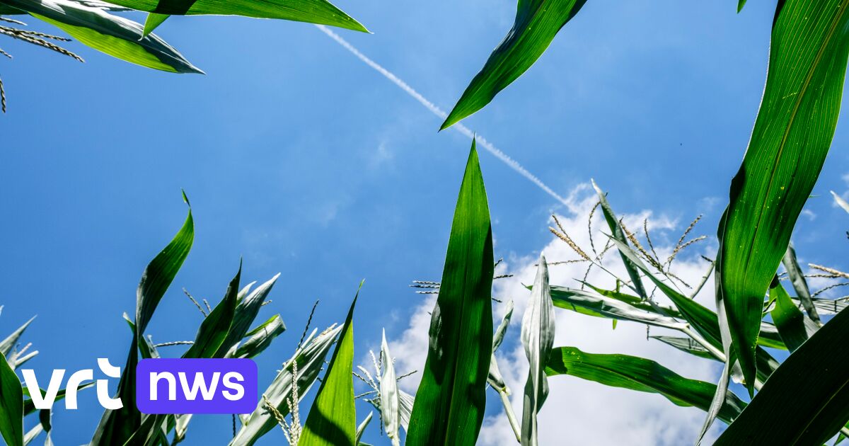 Heute tropisch warm, aber ab Donnerstag winkt der Herbst | VRT NWS ...