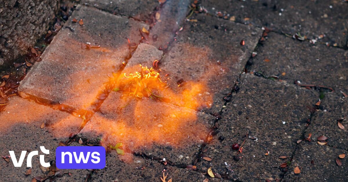 Bij het wegbranden van onkruid, vloog terrein in brand in Denderleeuw ...