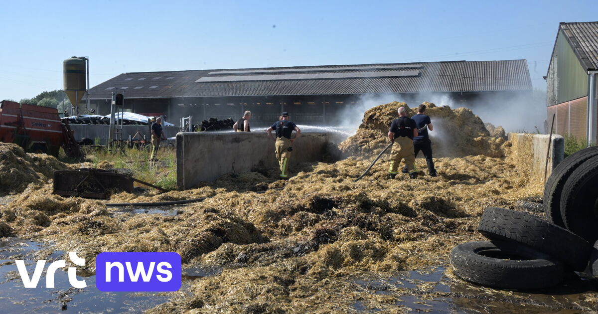 Balen stro in brand in Kontich | VRT NWS: nieuws