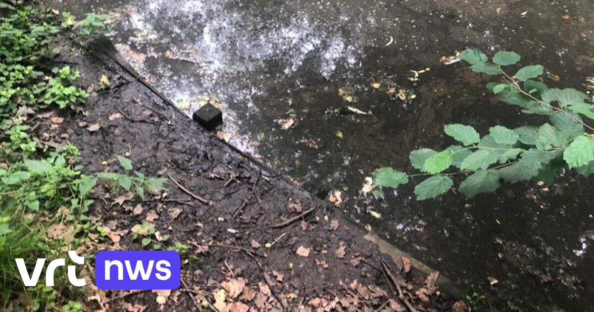 WC-afval drijft in beek door park van Boom: “Stank is niet te harden ...
