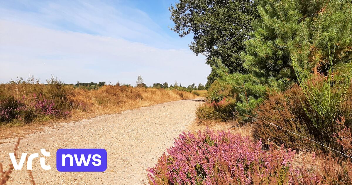 Vanaf morgen code rood in alle Vlaamse provincies voor brandgevaar in ...