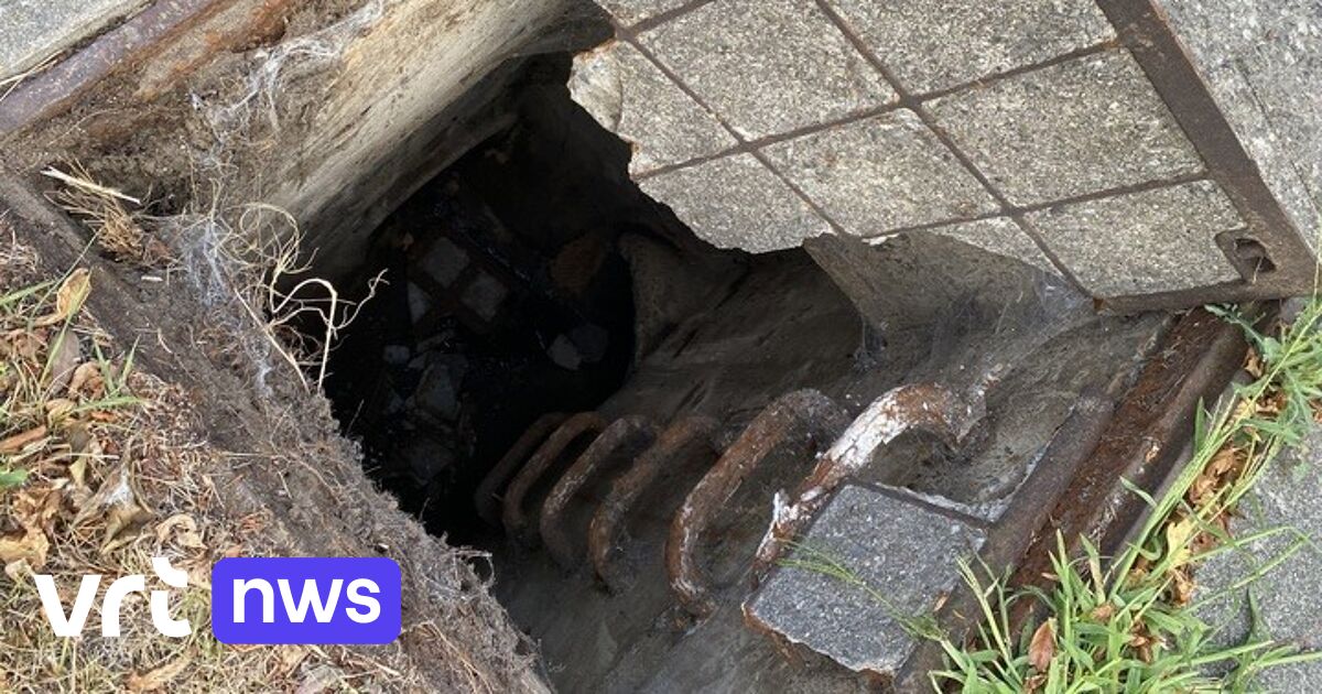Man uit Aartrijke valt in rioolput: "Stappen ondernemen zodat het nooit ...