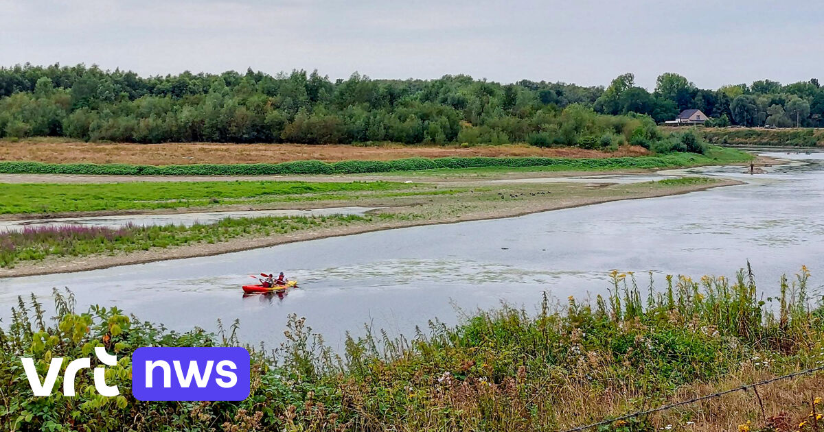 Ondanks lage waterstand kan je blijven kajakken op de Maas | VRT NWS ...