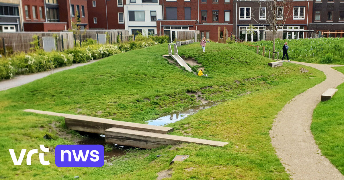 Sanne uit Ekeren houdt haar tuin groen met een "wadi": een wondermiddel ...