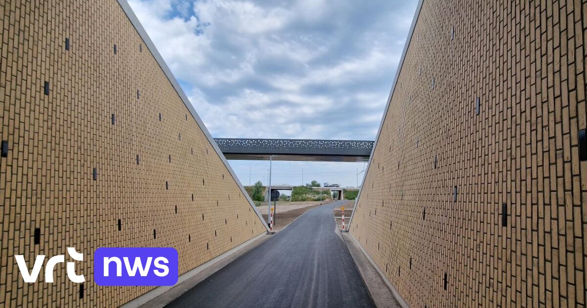 Nieuwe fietsbrug in Evergem geopend: "Nieuwe stap in vernieuwing van R4 ...