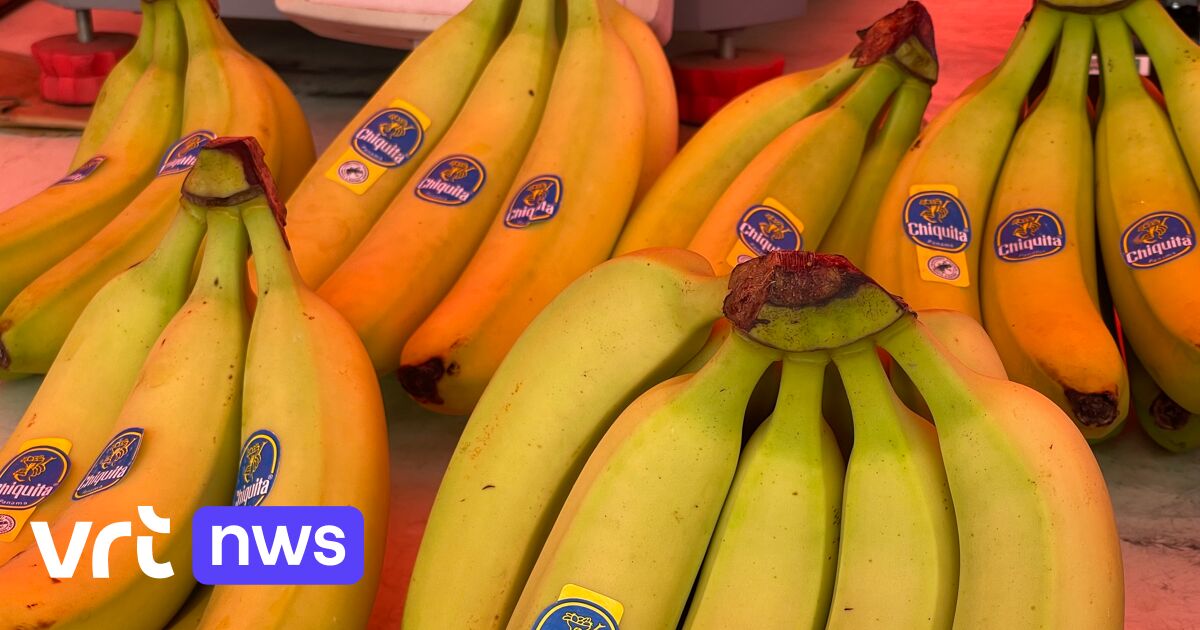 Afvalintercommunale van de Westhoek neemt actie tegen stickers op fruit ...