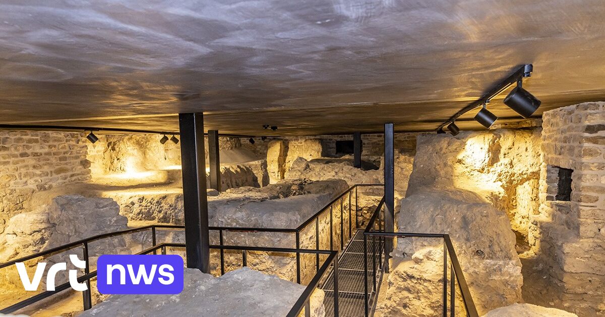 Oude toegang naar de crypte van Sint-Hermesbasiliek in Ronse gaat na ...