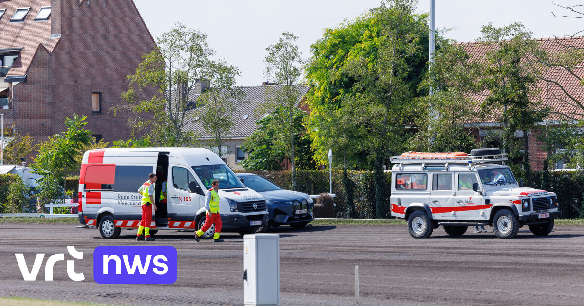 Paard komt zwaar ten val op Waregem Koerse, veearts laat dier inslapen ...