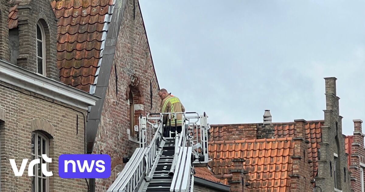 Vrouw krijgt vallende bakstenen uit Brugse gevel op haar hoofd | VRT ...