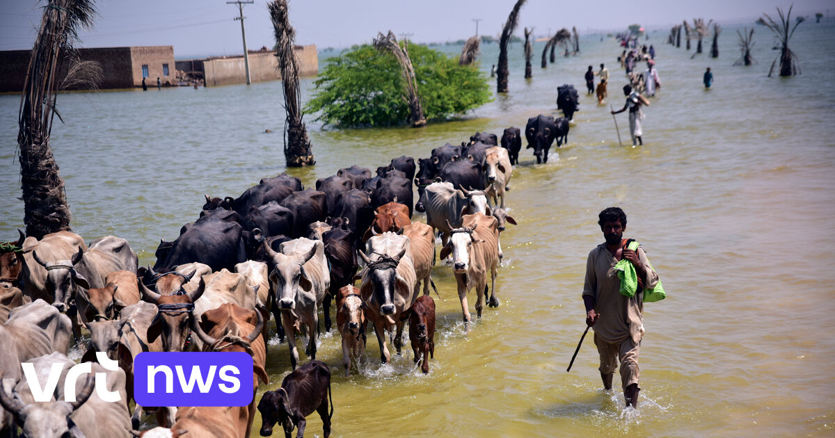 België stuurt waterzuiveringsinstallatie en B-FAST-team naar door ...
