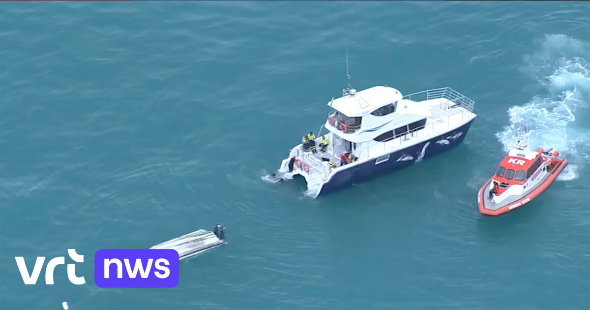 Vijf doden nadat boot geramd werd door een walvis voor de kust van ...