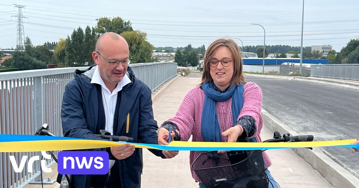 Vernieuwde brug moet fietsverkeer tussen Temse en Sint-Niklaas veiliger maken | VRT NWS: nieuws