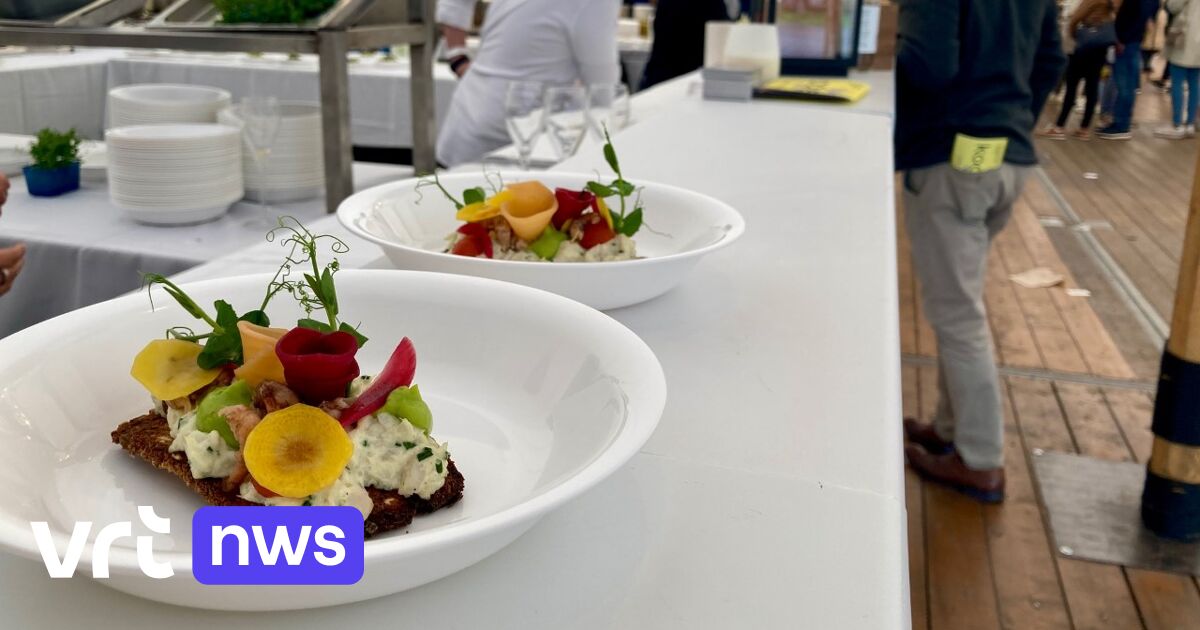 Culinair festival Kookeet in Brugge stopt: "Alternatief komt in ...