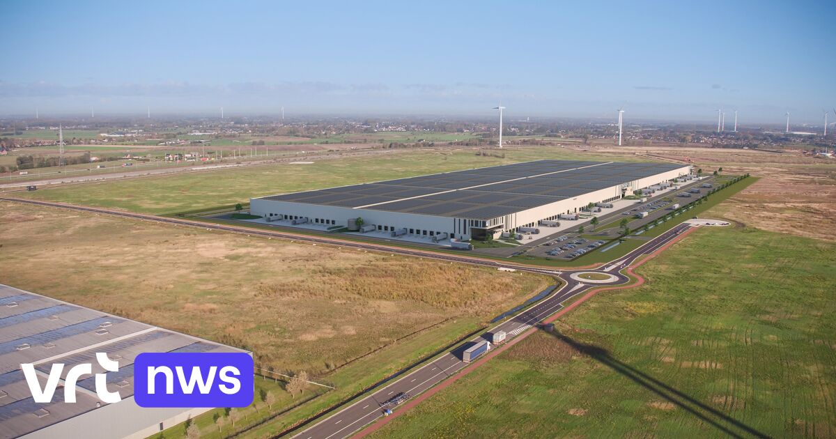 Bedrijf bouwt grootste zonnedak van België in Gentse haven: "Energie ...