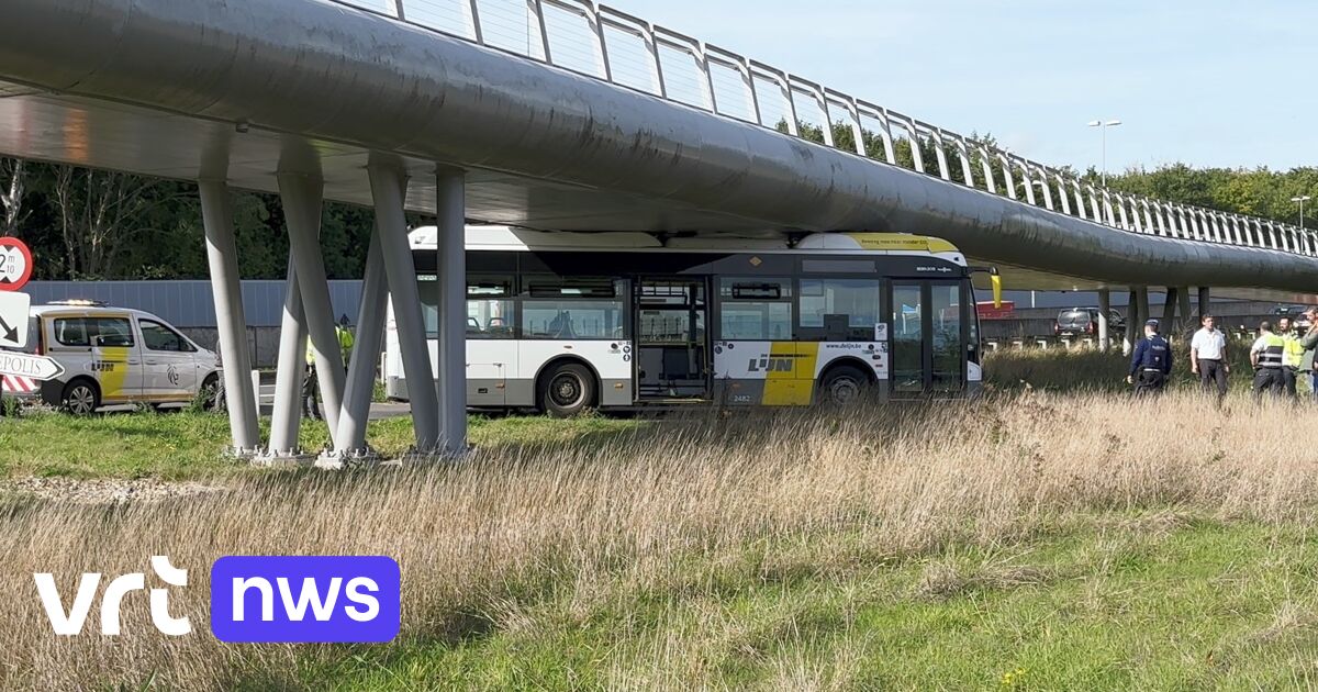 Bus van De Lijn rijdt zich vast onder fietsersbrug in Brugge | VRT NWS ...