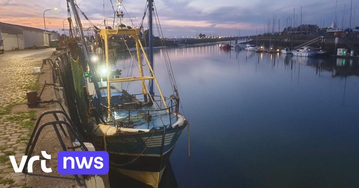 Water staat Belgische vissers aan de lippen: "Hopelijk kunnen we snel terug rendabel vissen ...