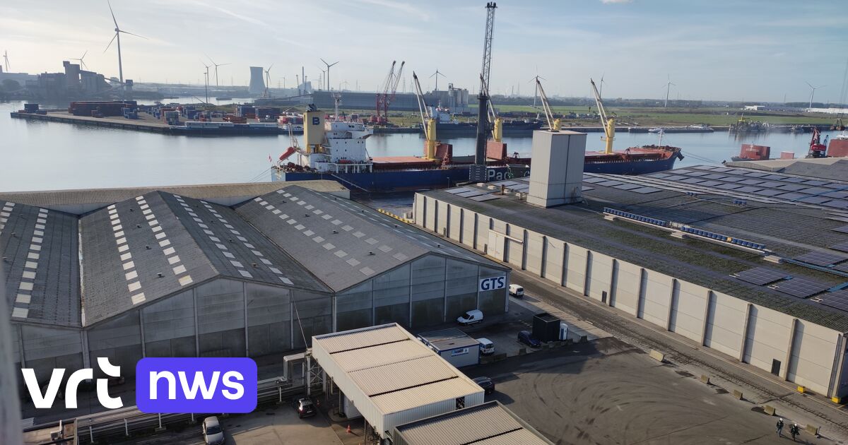 Zeezoutproducent Zoutman bouwt grootste productietoren ter wereld in ...