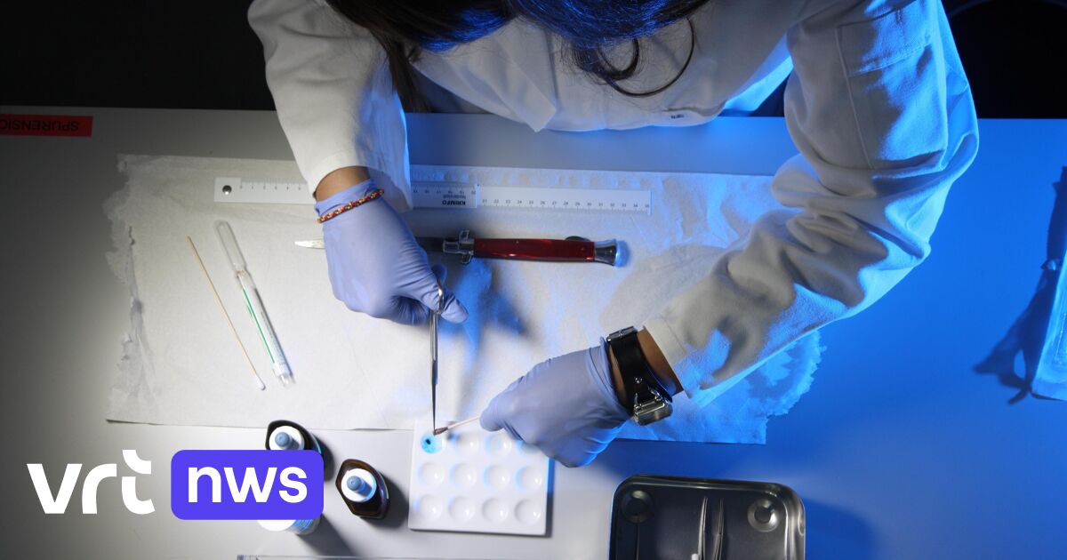 "Cold cases" oplossen met een nieuwe DNA-techniek? Y-chromosoom kan ...