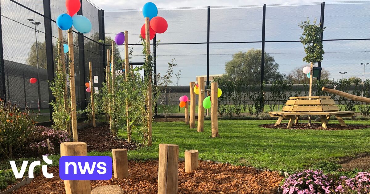 Gevangenis van Hasselt opent bezoekerstuin: "Deze tuin moet het bezoek ...