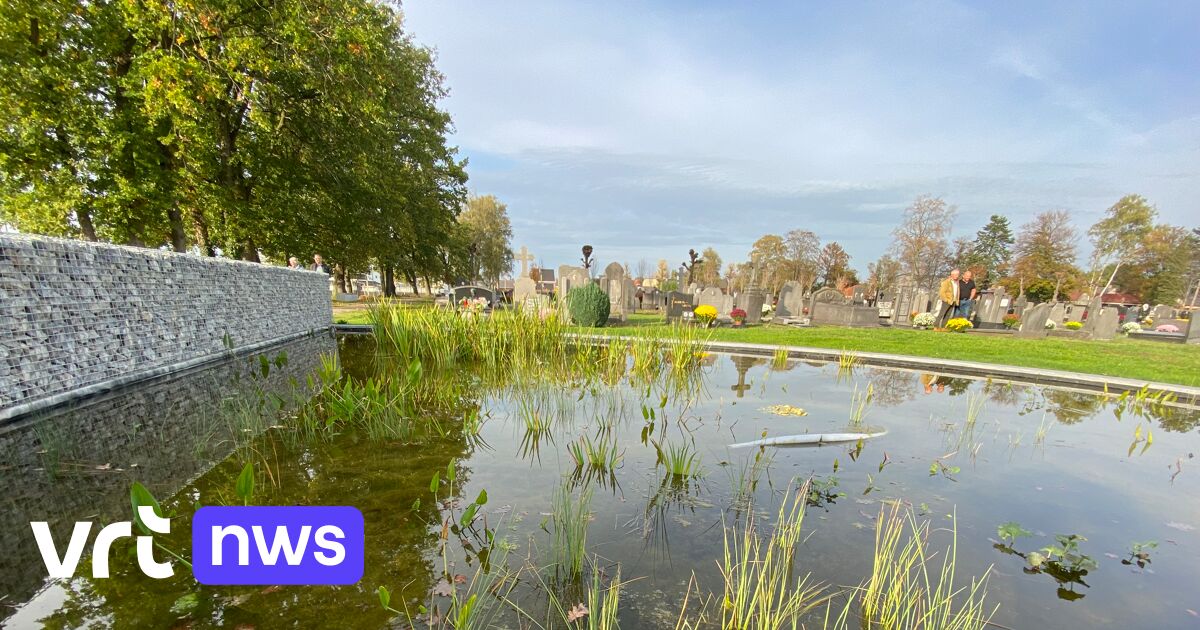 Strooivijver in Zonhoven bijna een jaar in gebruik | VRT NWS: nieuws