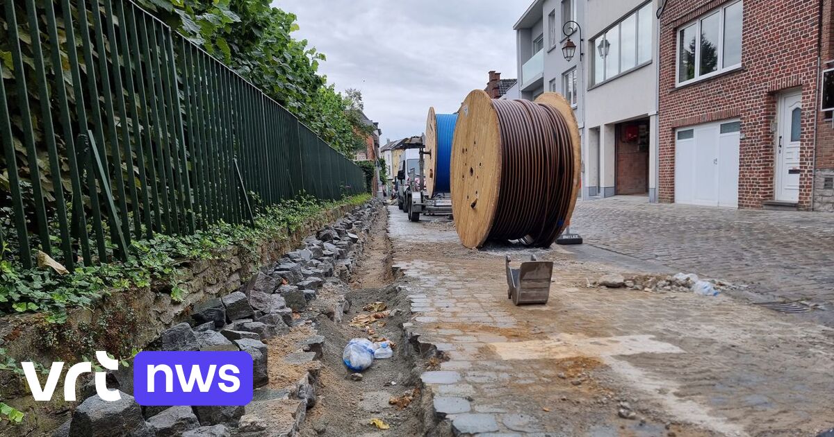 Bedrijf dat ondergrondse werken uitvoert in Halle mag werk hervatten ...