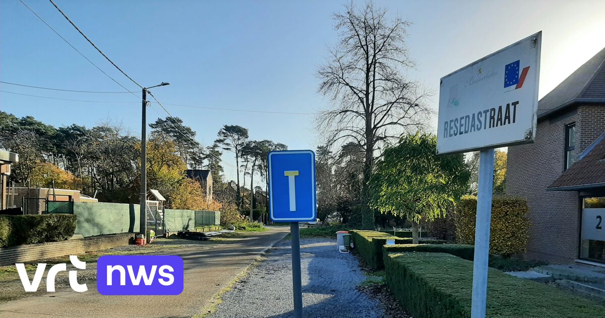 Illegale straat in Maasmechelen wordt na 30 jaar geregulariseerd | VRT ...