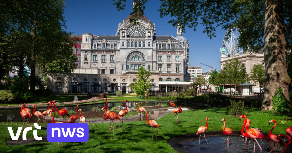 ZOO Antwerpen blaast 180 kaarsjes uit: "Eerste dierentuin ter wereld ...