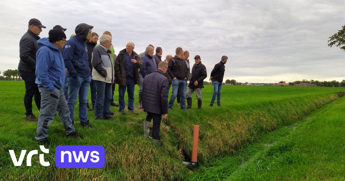 Boer uit Rumst toont hoe landbouwers meer kunnen investeren in technieken om gronden ...