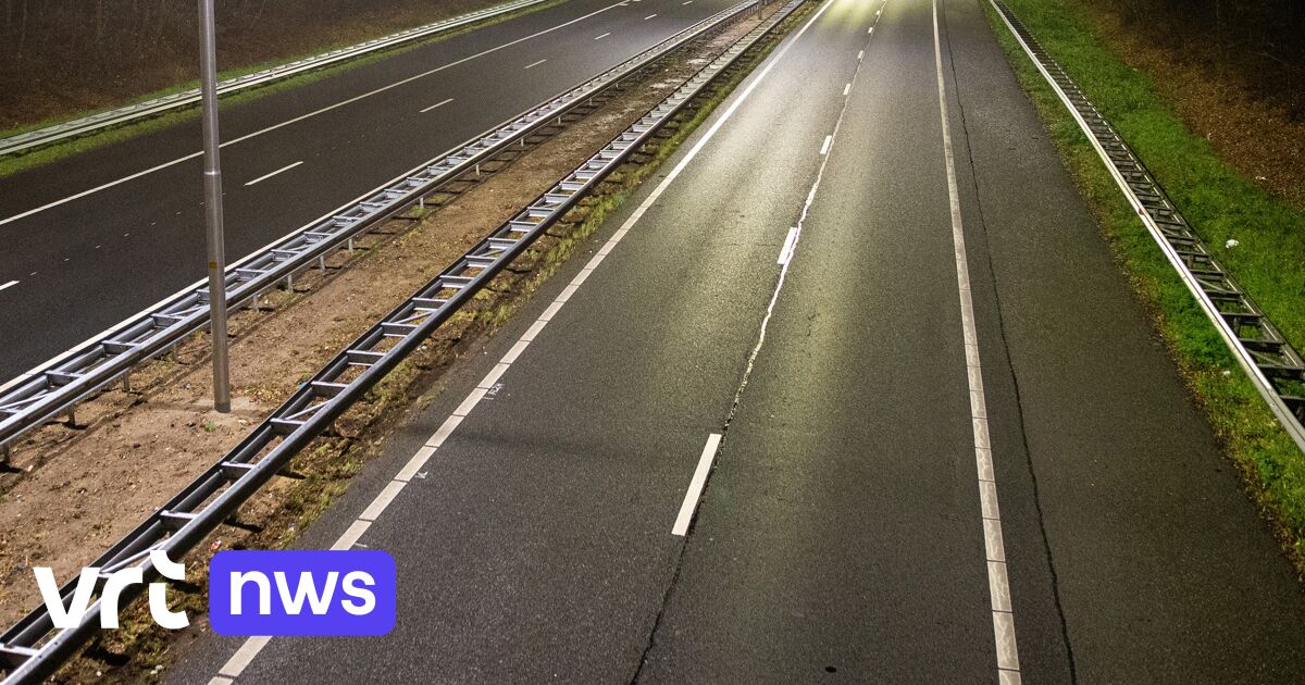 Wandelaar op A12 in Zandvliet sterft na aanrijding door bus | VRT NWS ...