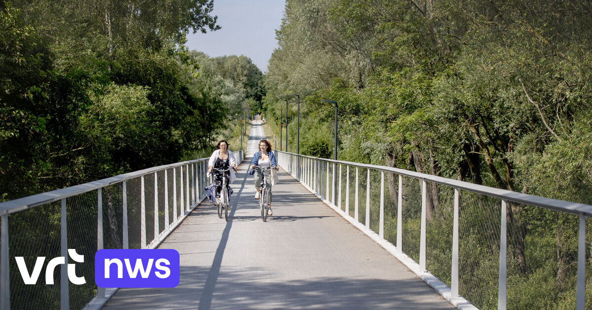 Gentenaars kiezen ook voor langere afstanden vaker de fiets | VRT NWS ...