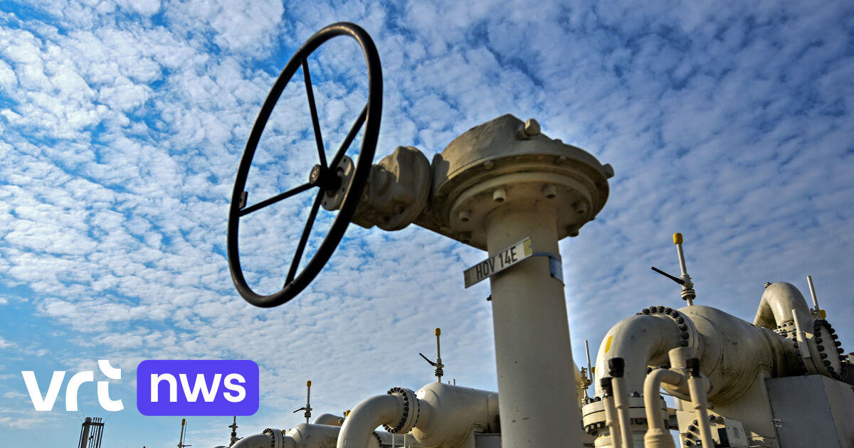 Europa kan volgend jaar tegen gastekort aankijken, "een serieuze ...