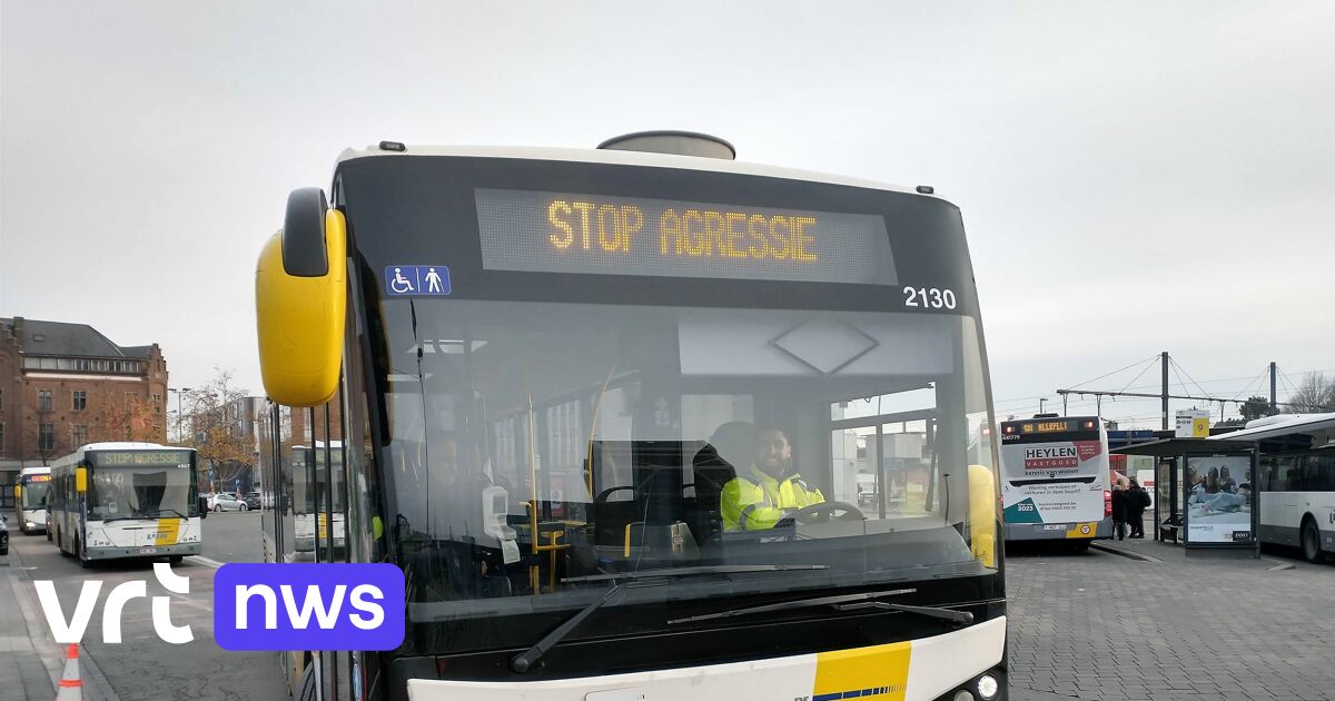 Opnieuw incident op bus van de Lijn in Kampenhout: man slaat ...