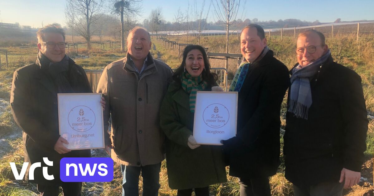 Borgloon is de beste bebosser van Limburg: bijna 5 hectare extra bos op ...