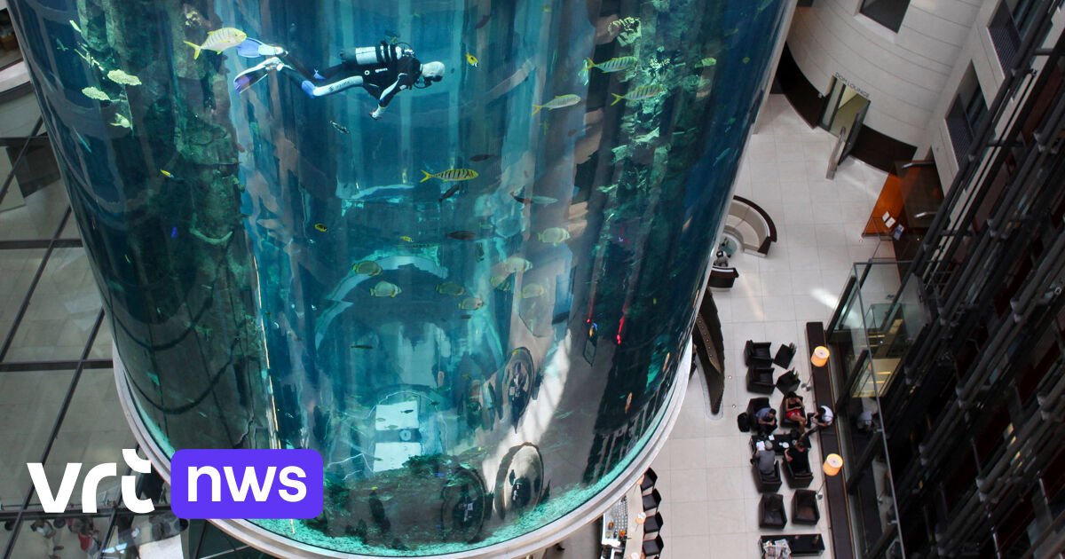 20 jaar oud, 16 meter acrylglas én voorbije 2,5 jaar gerenoveerd: hoe ...