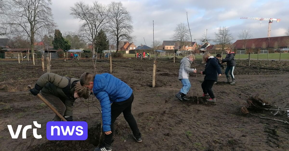 Leerlingen van basisschool uit Gierle planten voedselbos: "Binnen ...