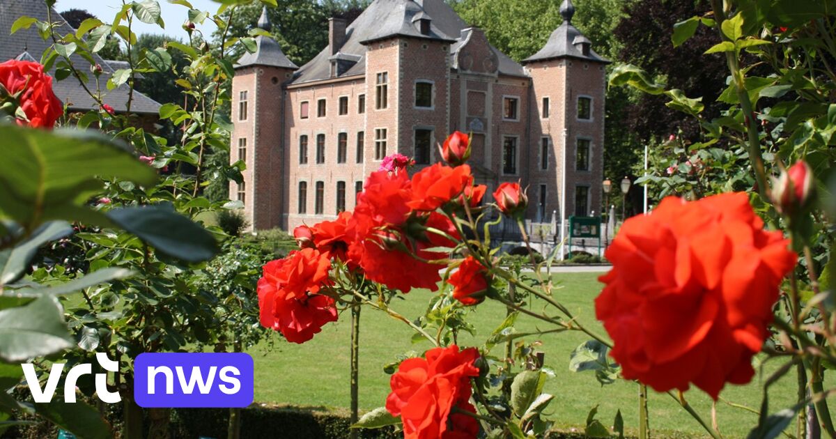 Plan voor nieuwe invulling Colomapark Sint-Pieters-Leeuw in opmaak ...