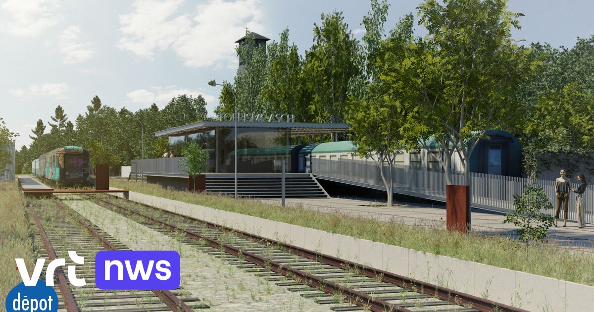 Toegangspoort Station As krijgt duidelijk toeristisch onthaal en ...