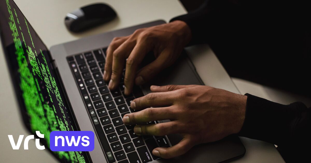 Waals Gewest slachtoffer van grootschalige cyberinbraak, overheid ...