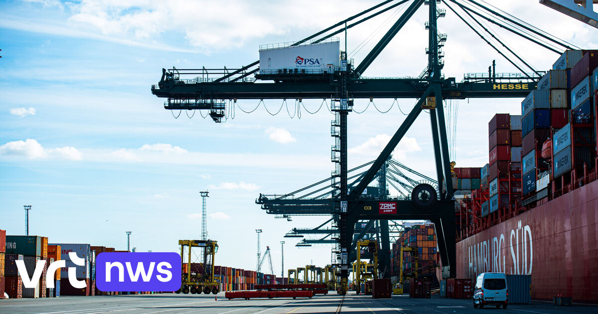 Arbeider overleden nadat hij kraan op zich krijgt in haven van ...