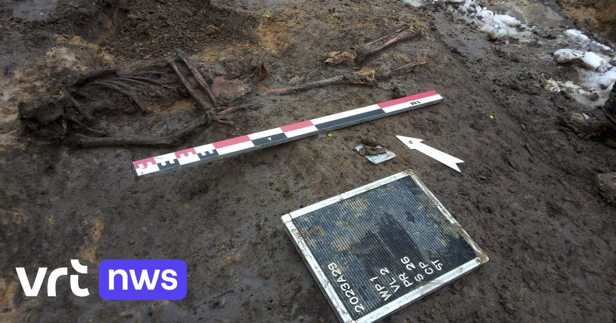 Skelet van middeleeuwse man gevonden bij archeologische opgravingen in Bilzen | VRT NWS: nieuws