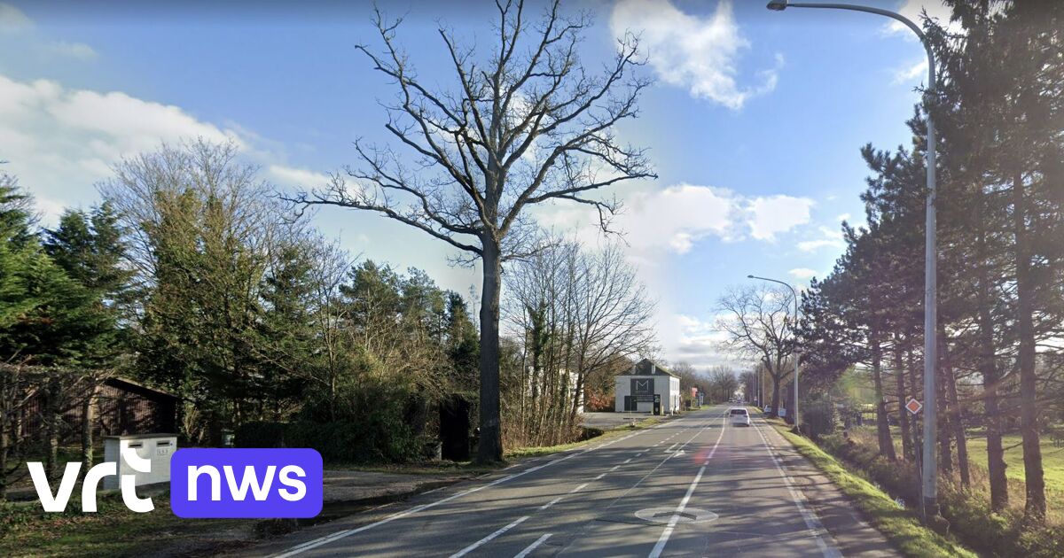 Leuvensesteenweg en Provinciesteenweg in Boortmeerbeek worden veiliger | VRT NWS: nieuws