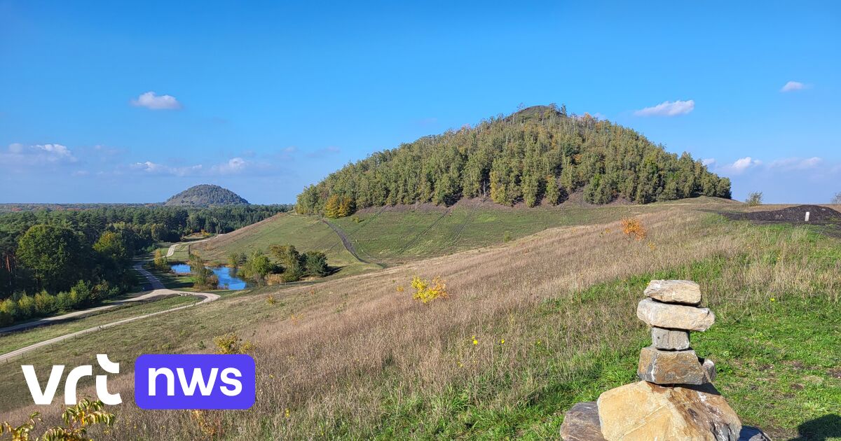 Genk wil digitale gids en film voor Thor Park | VRT NWS: nieuws